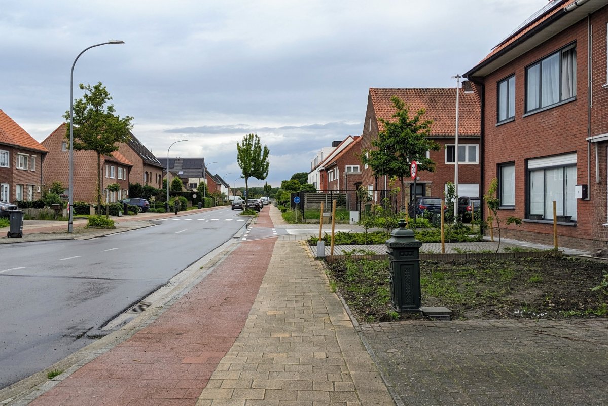 Straatvinken in de Leopoldstraat en Leest | merksplas.NU