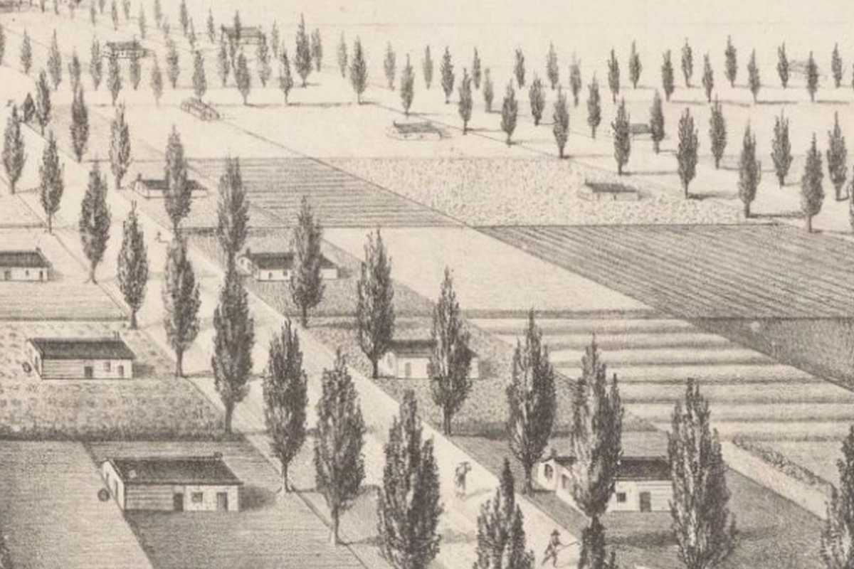200 jaar kolonie Merksplas - de Nederlandse periode | merksplas.NU